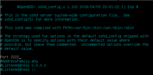 How To Install and Enable SSH Server on Debian 10