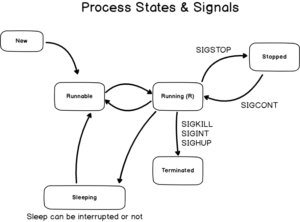 Understanding Processes on Linux – devconnected