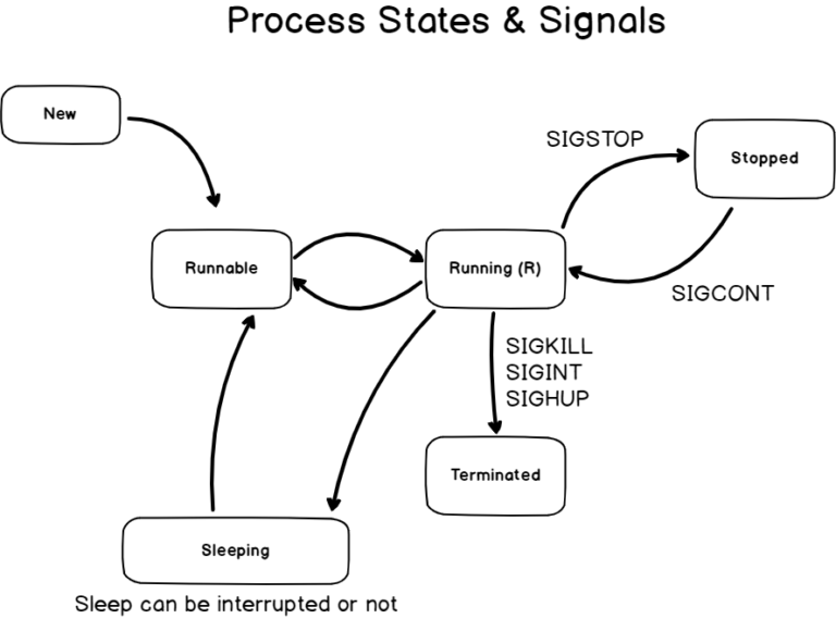 Understanding Processes on Linux – devconnected