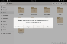 How To Run a Bash Script – devconnected