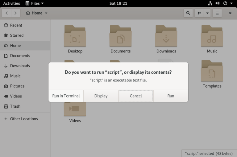 How To Run a Bash Script – devconnected