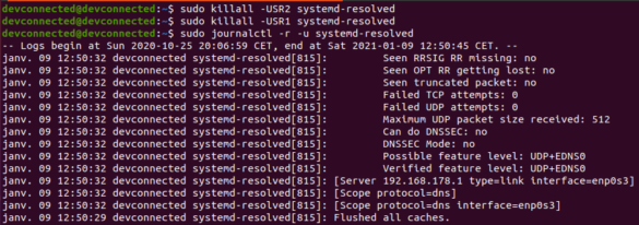 How To Flush DNS Cache on Linux – devconnected