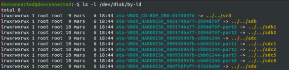 How To List Disks on Linux – devconnected